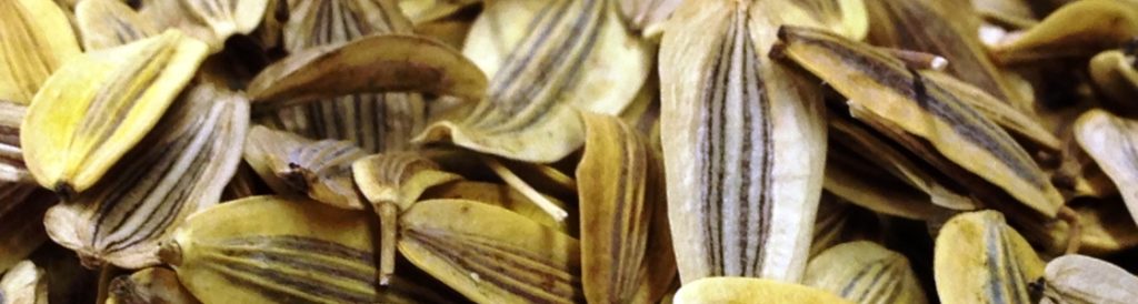 Center for Natural Lands Management | Native Seed Nursery